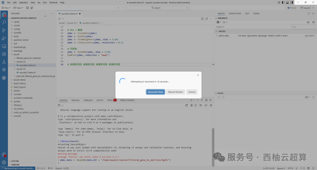 抛弃Rstudio后的Positron秘籍_如何获得positron在服务段运行的代码记录-CSDN博客