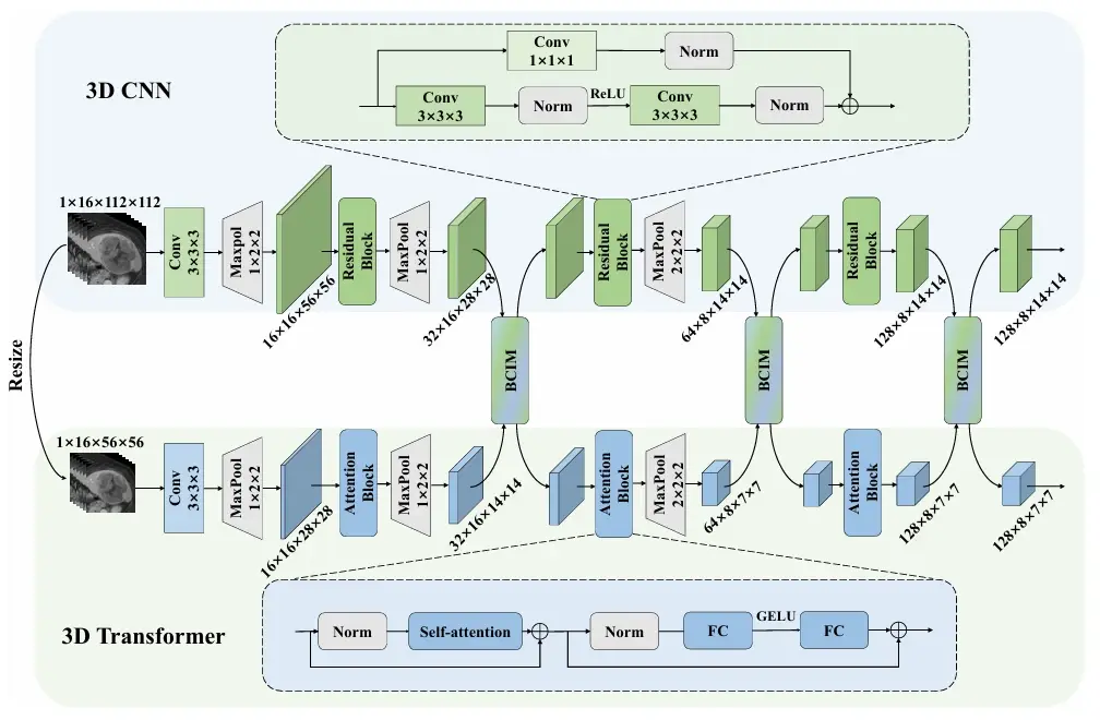 顶刊神思路！融合Transformer与CNN做医学图像！！_cfformer-CSDN博客