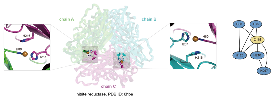 号外 | 王初课题组开发了用于预测蛋白质组中金属结合位点的在线服务器MetalNet2...-CSDN博客