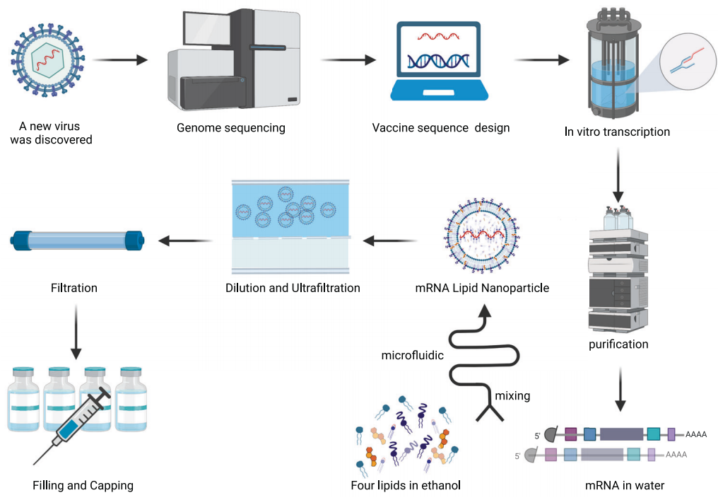 探索mRNA疫苗生产流程：酶产品的核心角色_mrna体外转录-CSDN博客