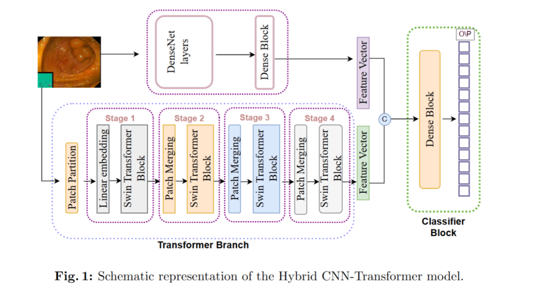 太牛了！CNN与Transformer强强联合，助力图像分类！_cnn+transformer-CSDN博客