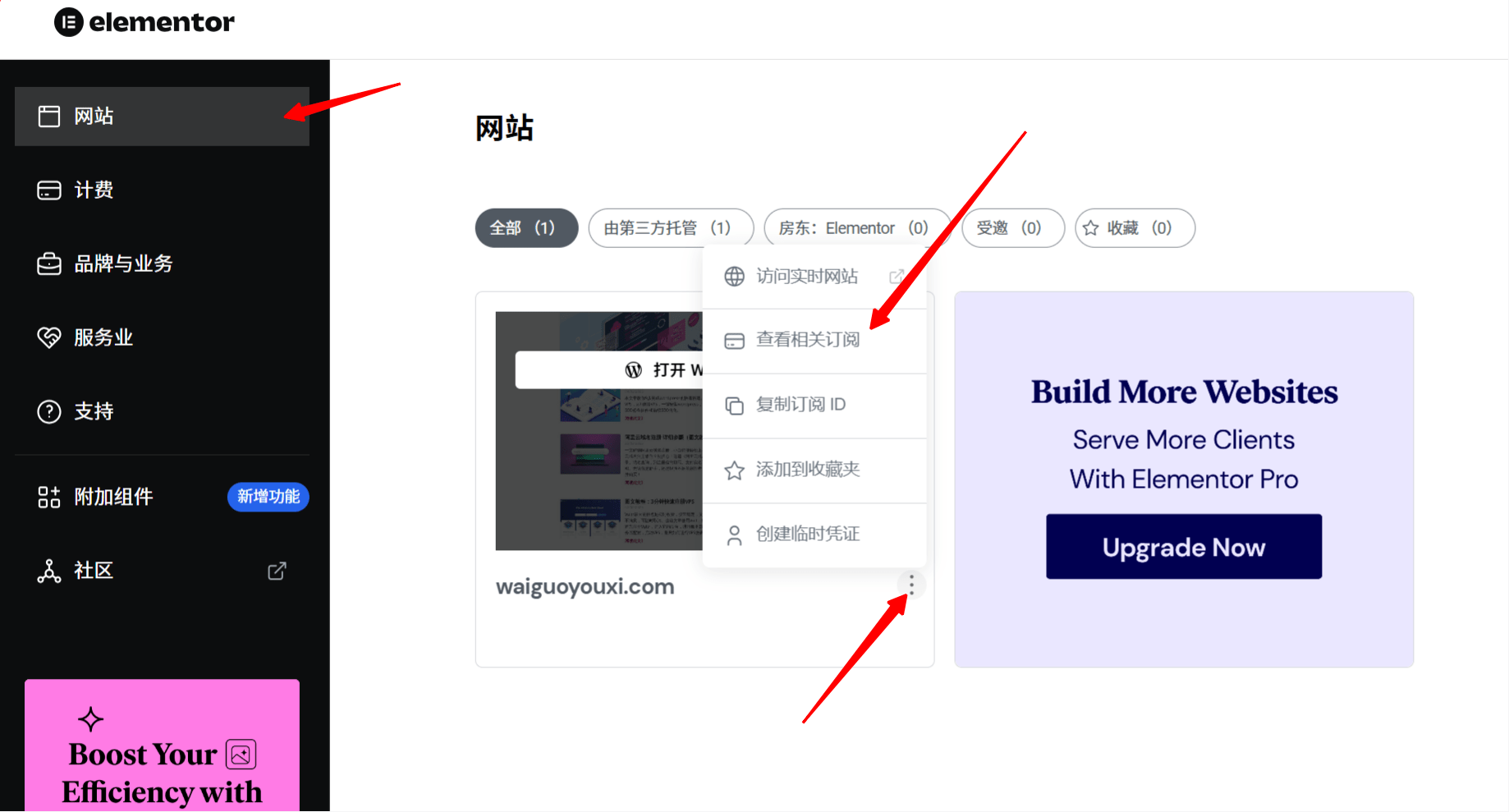 WordPress网站更换域名后重新连接并激活Elementor Pro许可证_elementor your license is inactive-CSDN博客