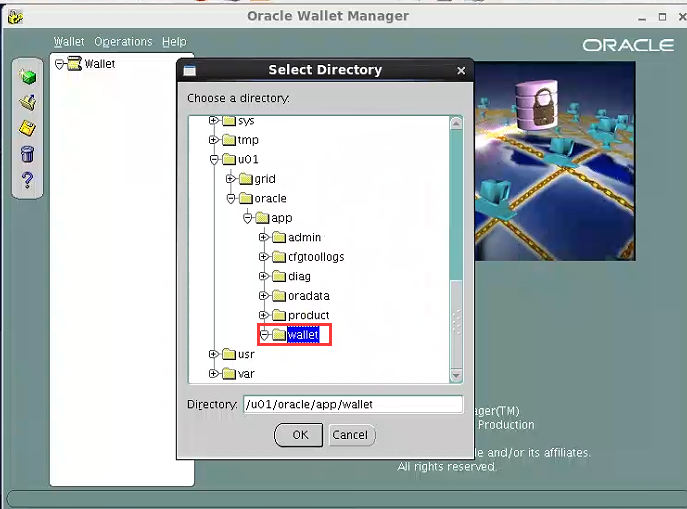 Oracle TDE 加密 钱包密码 wallet HSM 一下次说清楚_oracle 钱包 加解密-CSDN博客