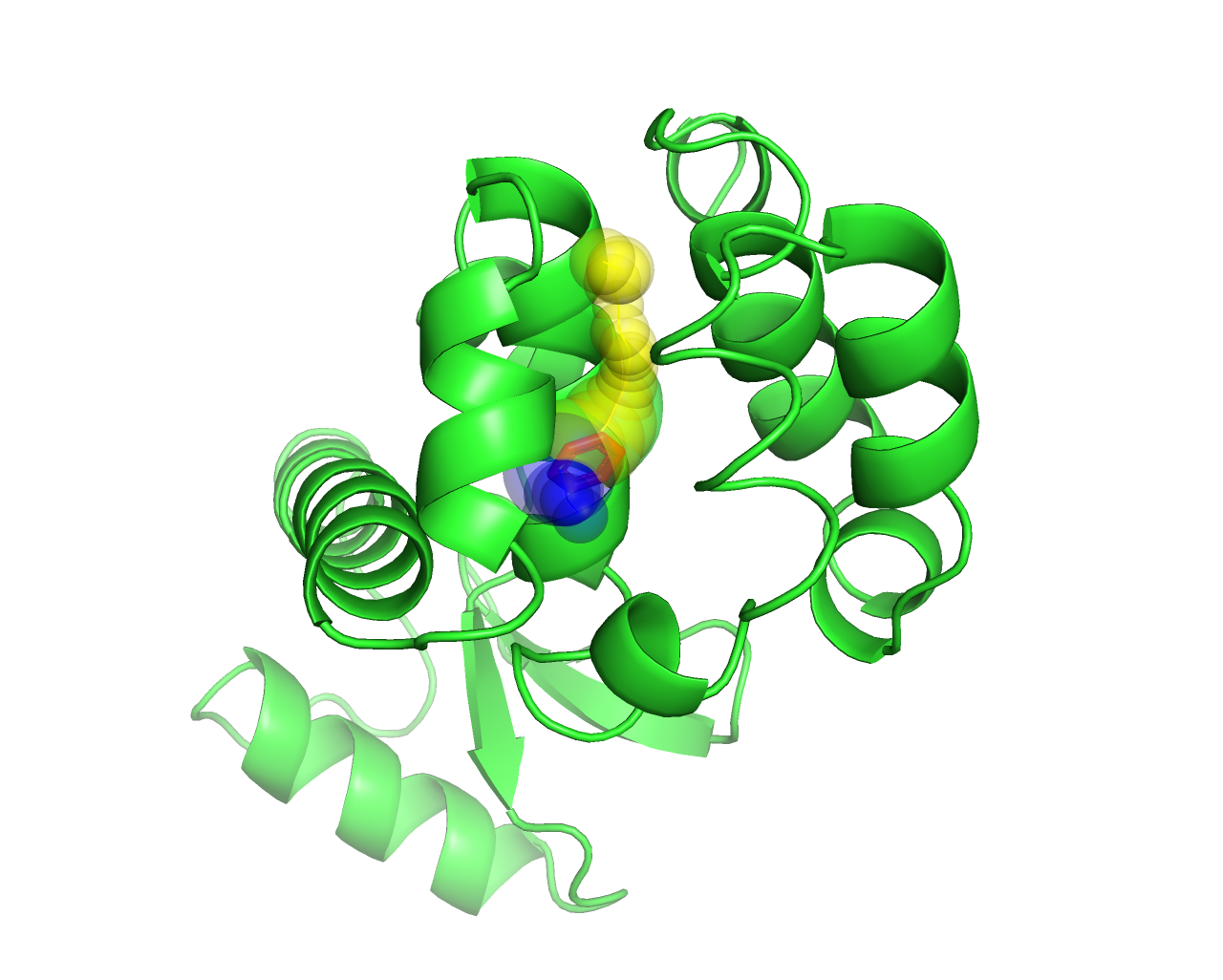 pymol高级教程-4_pymol脚本-CSDN博客