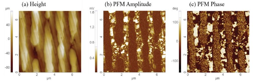 原子力显微镜（AFM）到底能测出啥？_afm测力最厉害三个指标-CSDN博客