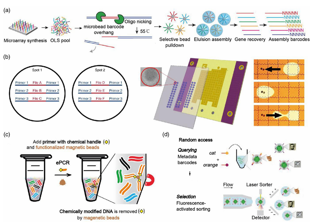 也就是说，DNA能当硬盘使？_church dna存储-CSDN博客