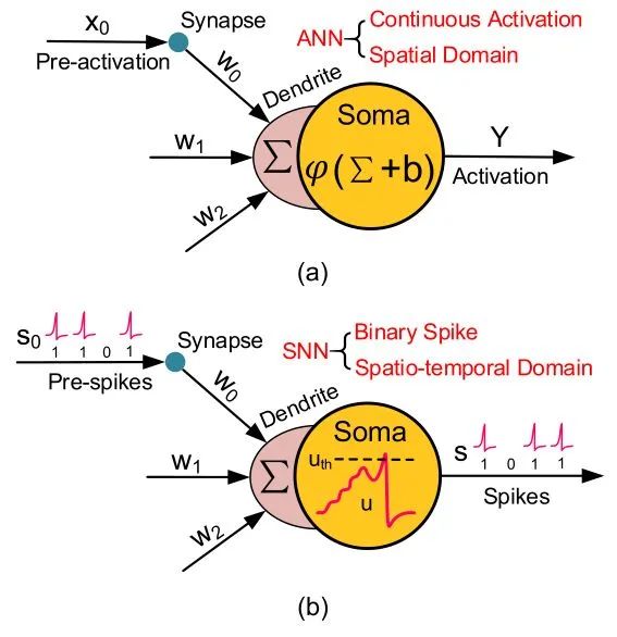 如何看待第三代神经网络 SNN？_snn神经网络与bp区别-CSDN博客