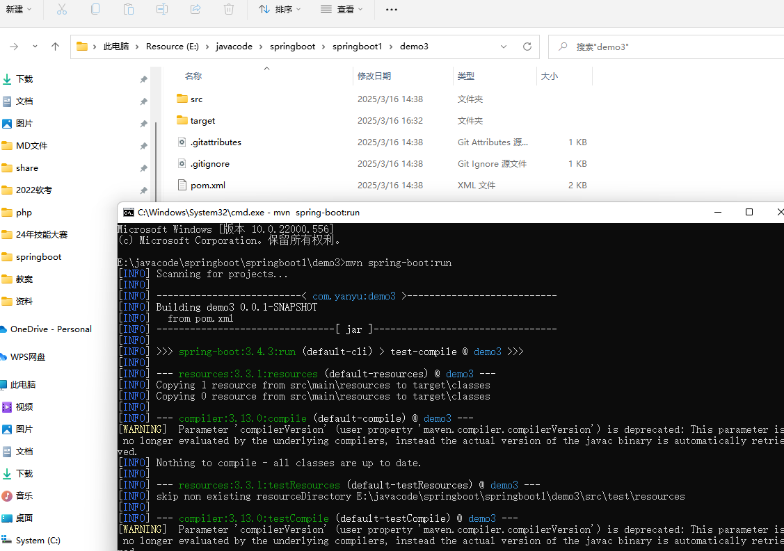 项目启动方式与autowired_springboot用开关控制是否autowired-CSDN博客