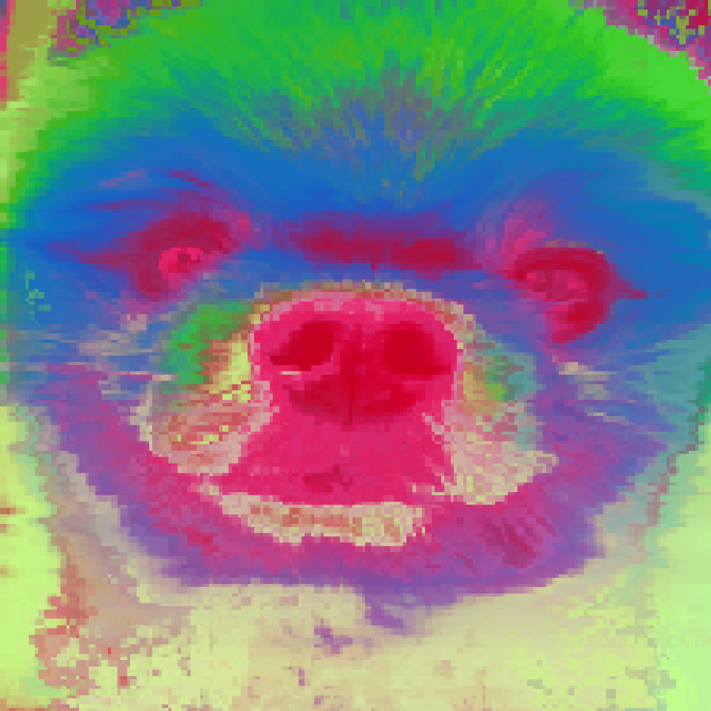 上采样方法Upsample Anything实验复现-CSDN博客