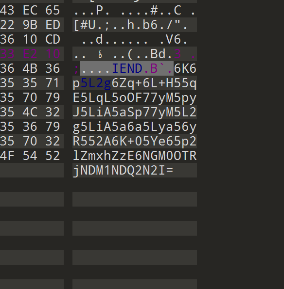 2025 LilCTF Web部分wp_php-jail-is-my-cry-CSDN博客