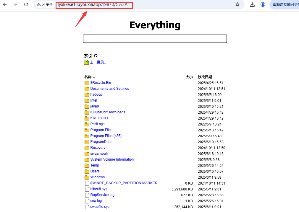 无公网IP 外网访问文件搜索神器 Everything_everthing 网络映射 服务-CSDN博客