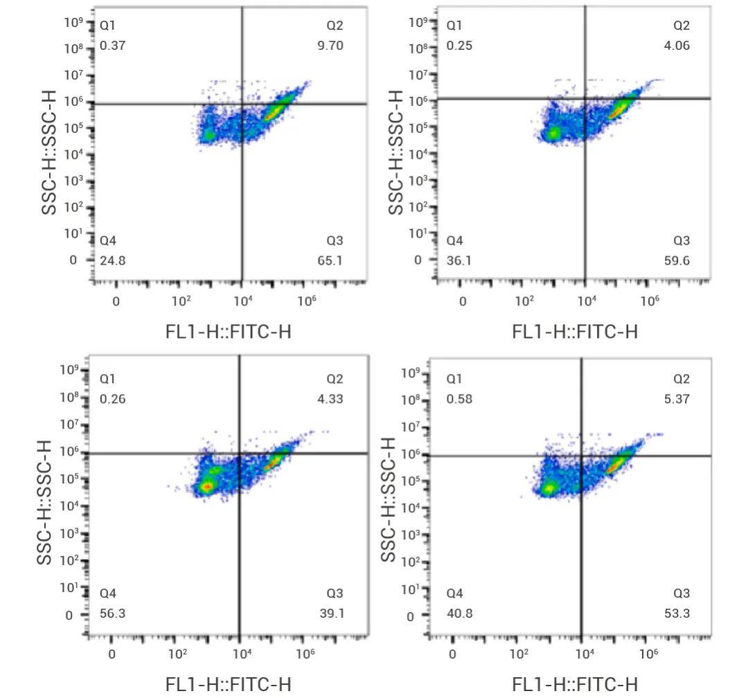 细胞凋亡的流式检测？实验步骤+结果解读，速戳！ | MCE_jc-1流式-CSDN博客