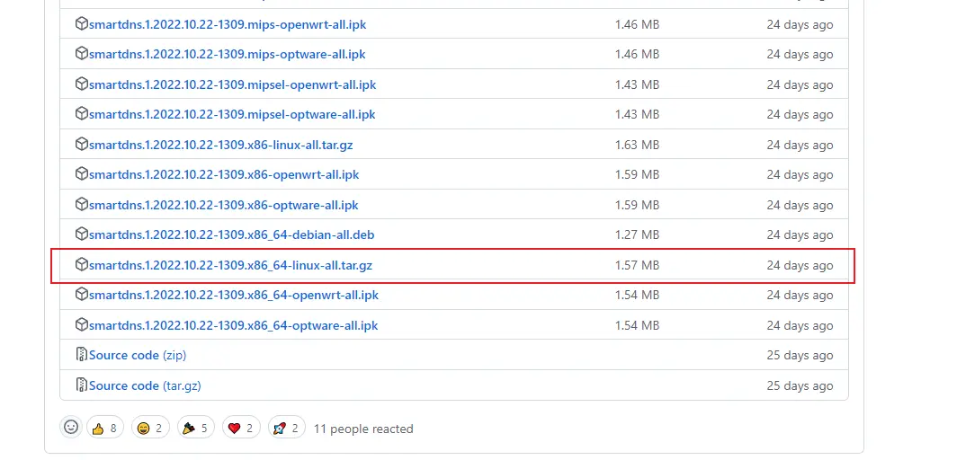 局域网内配置私有的下游dns_smartdns详细配置教程-CSDN博客