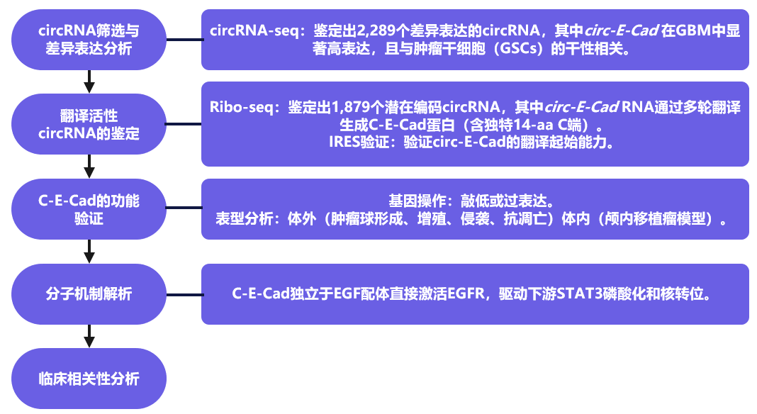 经典思路总结—Ribo-seq技术在医学中的应用_伯远生物博客官网-CSDN博客