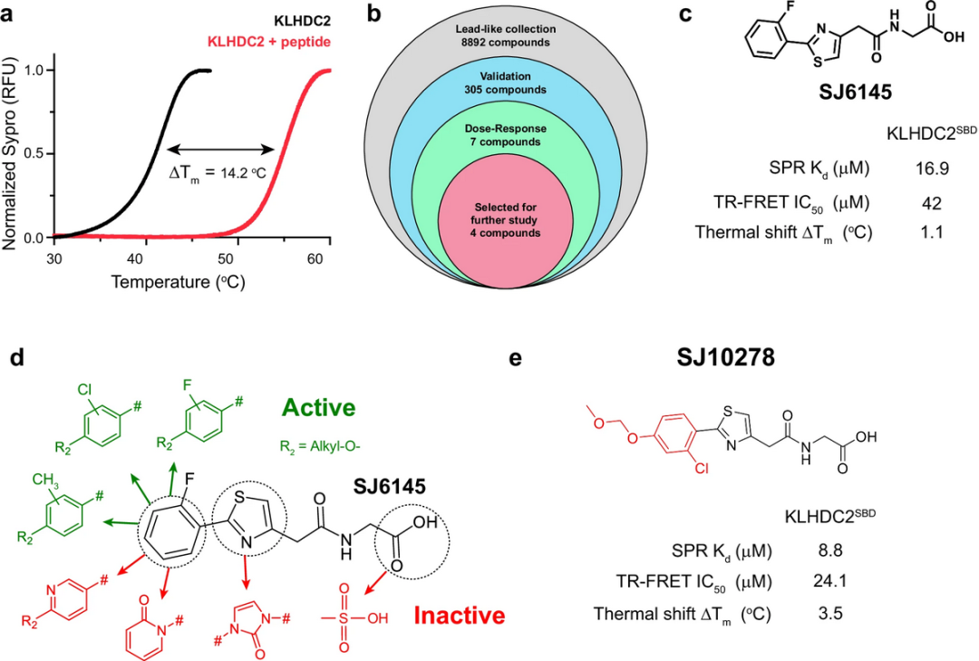 AIDD -人工智能药物设计 - E3 ligase KLHDC2配体及结合模式-CSDN博客