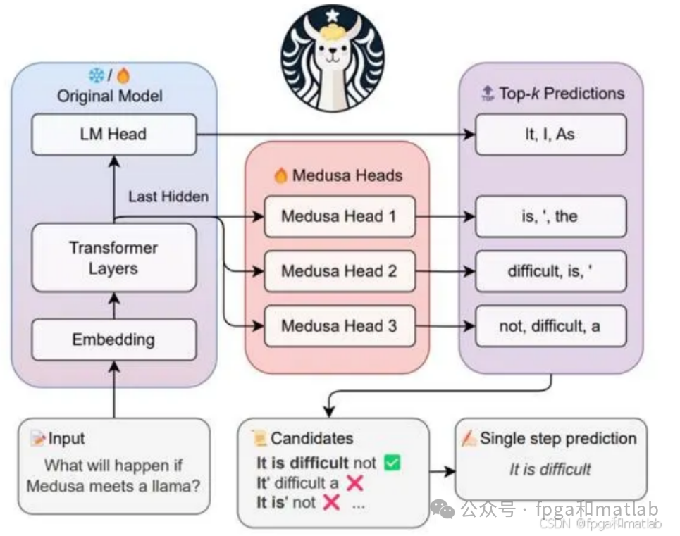 大模型中的常用推理优化技术_lookahead decoding-CSDN博客