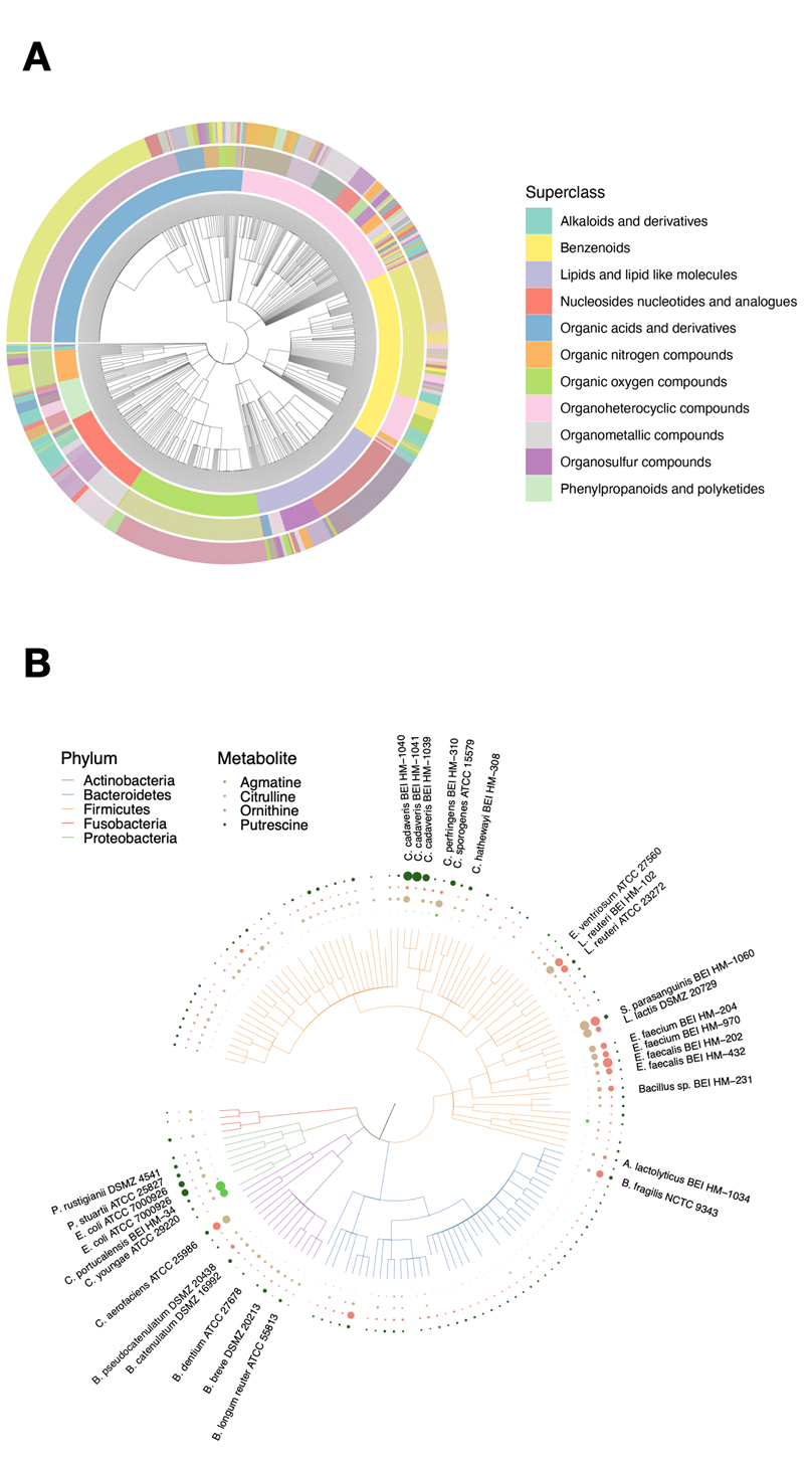 BiB | 浙大蒋超组开发iPhylo平台推动生物与化学分类学的整合分析-CSDN博客