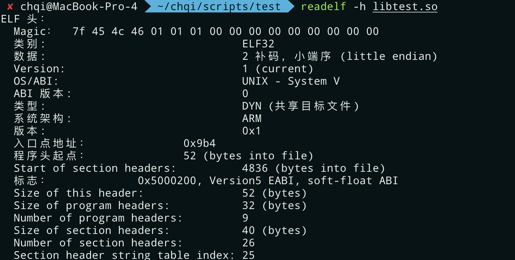 ELF文件格式详解-CSDN博客