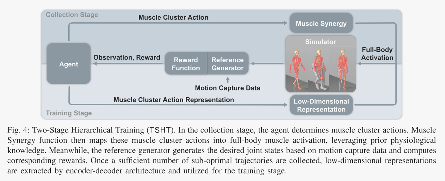 外骨骼文献：Self Model for Embodied Intelligence:（2024ICRA，清华大学）_外骨骼 计算单元-CSDN博客