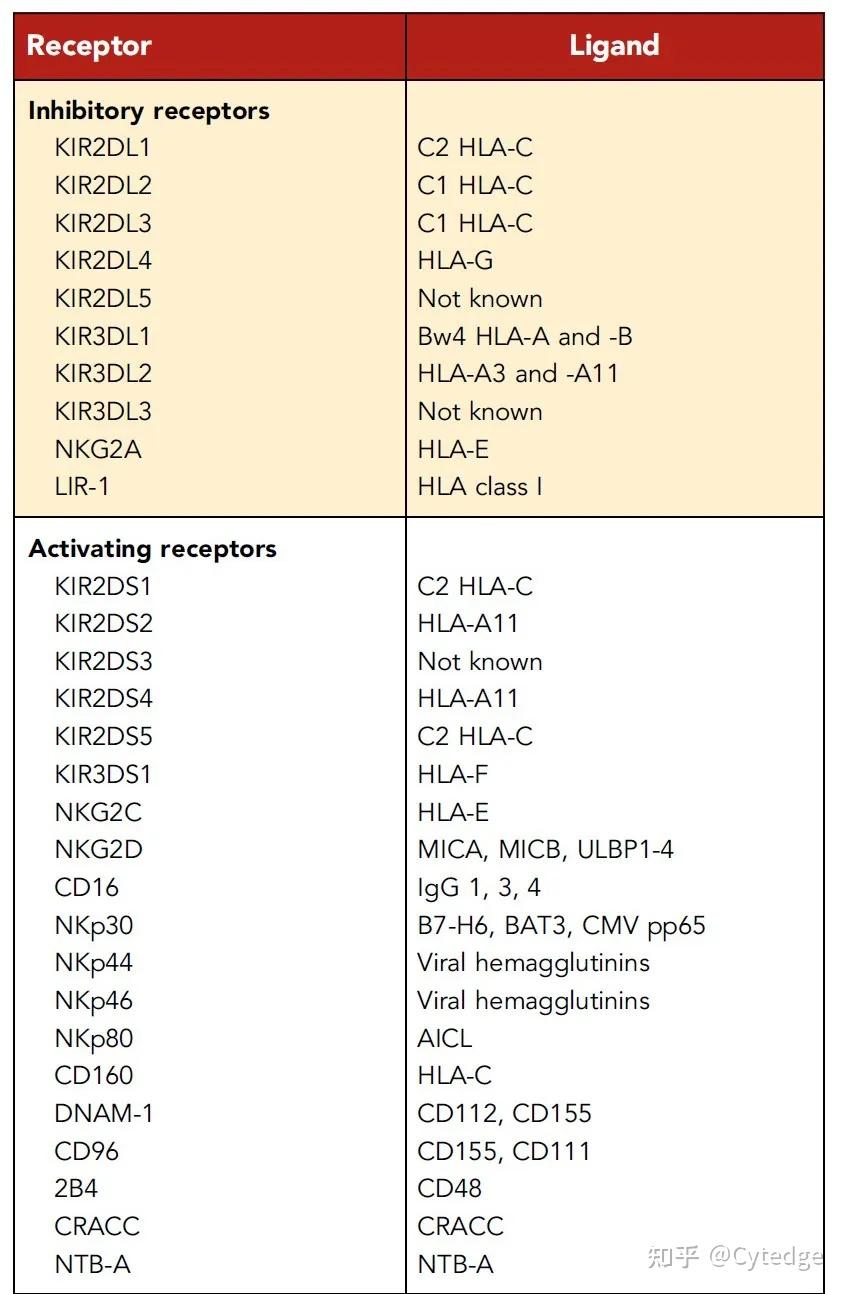 NK细胞的HLA和KIR的配型_kir b型-CSDN博客