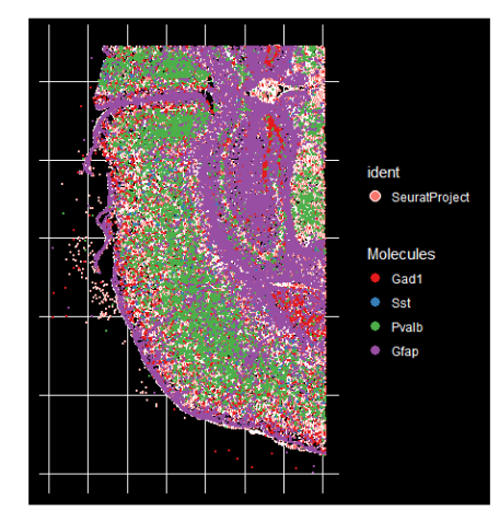 SCS 46.Seurat v5解析单细胞空转数据(Xenium)-CSDN博客