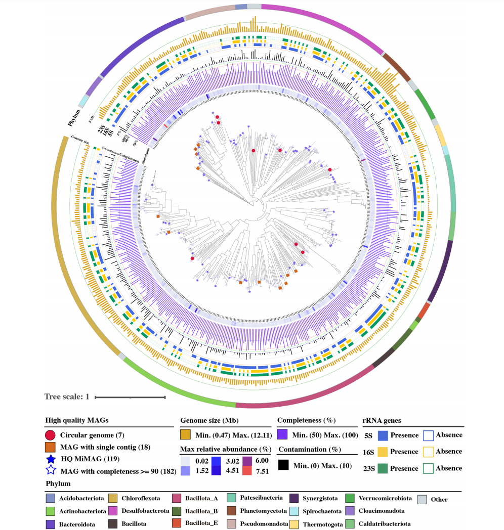 IF＞10，三代宏基因组分析套路大揭秘！_metatranscriptomics-guided genome-scale metabolic -CSDN博客