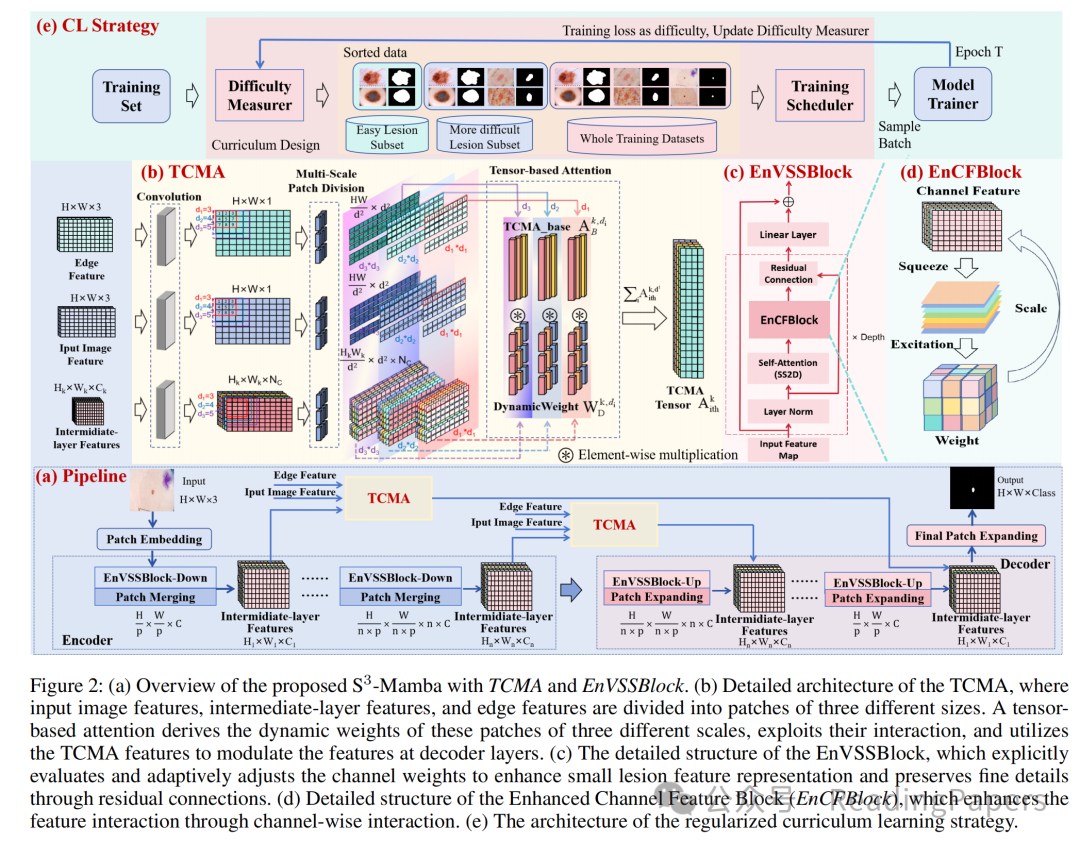 医图伦文 AAAI‘25 | S³-Mamba：面向病灶分割的小尺寸敏感Mamba模型_s鲁-mamba: small-size-sensitive mamba for lesion se ...