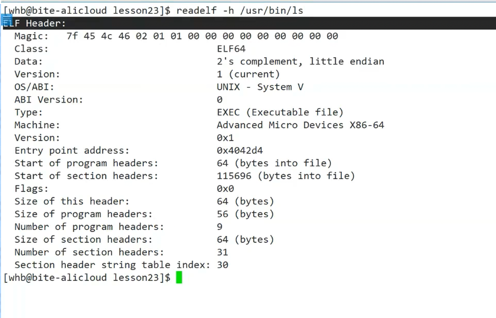 【Linux】ELF 是什么？一文拆解 Linux 程序 “从零件到运行” 全流程_linux 运行elf 过程-CSDN博客