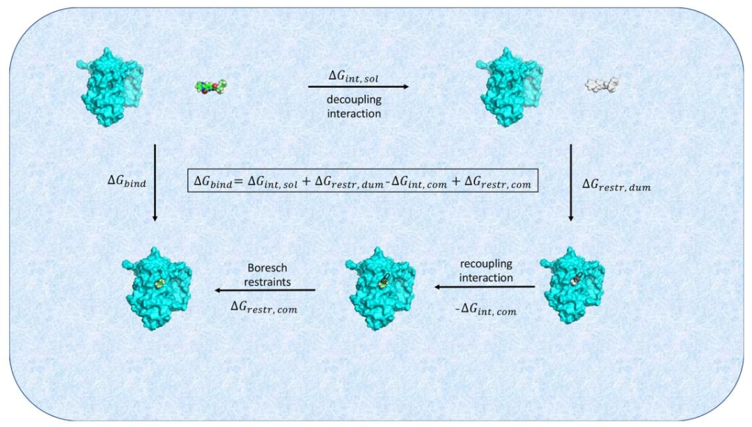 FEP-SPell-ABFE：一个自动化计算药物与大分子绝对结合自由能的工作流_绝对结合自由能计算-CSDN博客