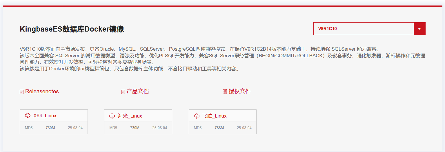 kingbase金仓数据库docker镜像部署完整步骤 _kingbasees数据库docker镜像-CSDN博客