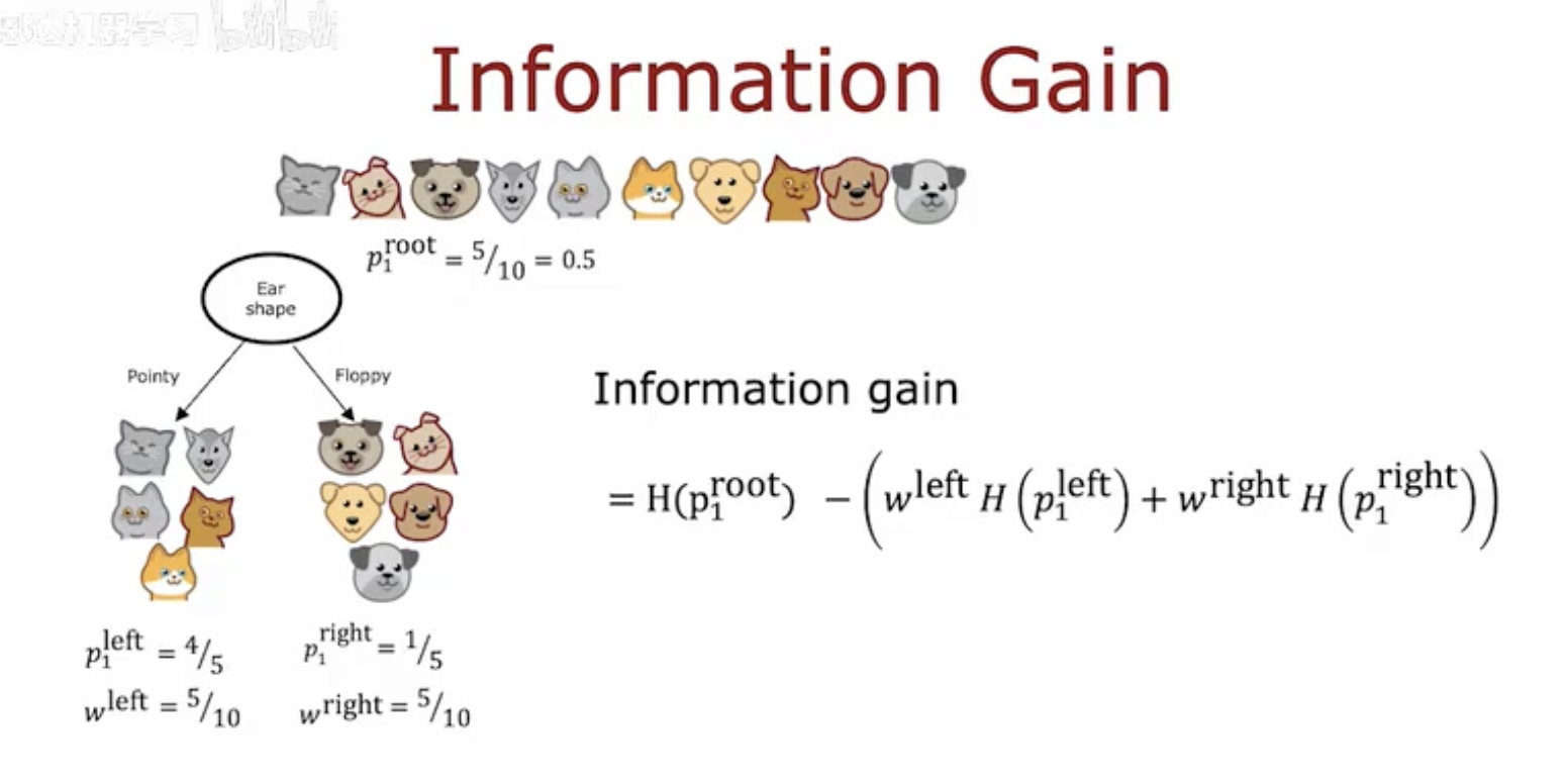Information Gain｜信息增益_信息增益gain-CSDN博客