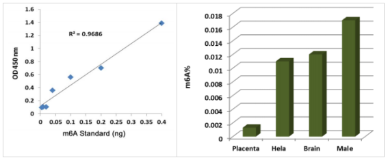 MethyFlash m6A DNA甲基化ELISA试剂盒（比色法）适用于直接检测从任何物种中分离的m6A DNA_m6a elisa-CSDN博客