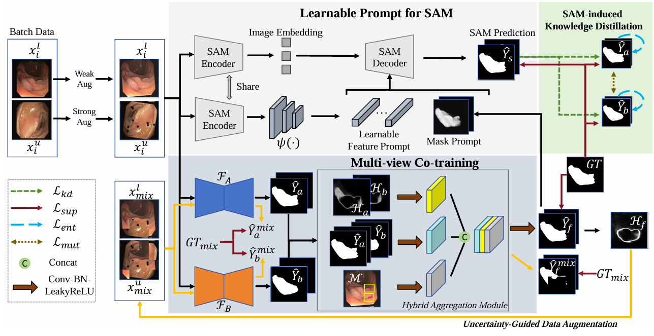 SAM+医学图像分割为何又刷爆顶会顶刊？_samradiology csdn-CSDN博客