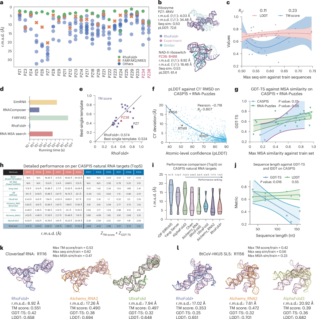 准确、快速地从头预测RNA 3D结构，港中大、复旦等深度学习方法RhoFold+登Nature子刊...-CSDN博客