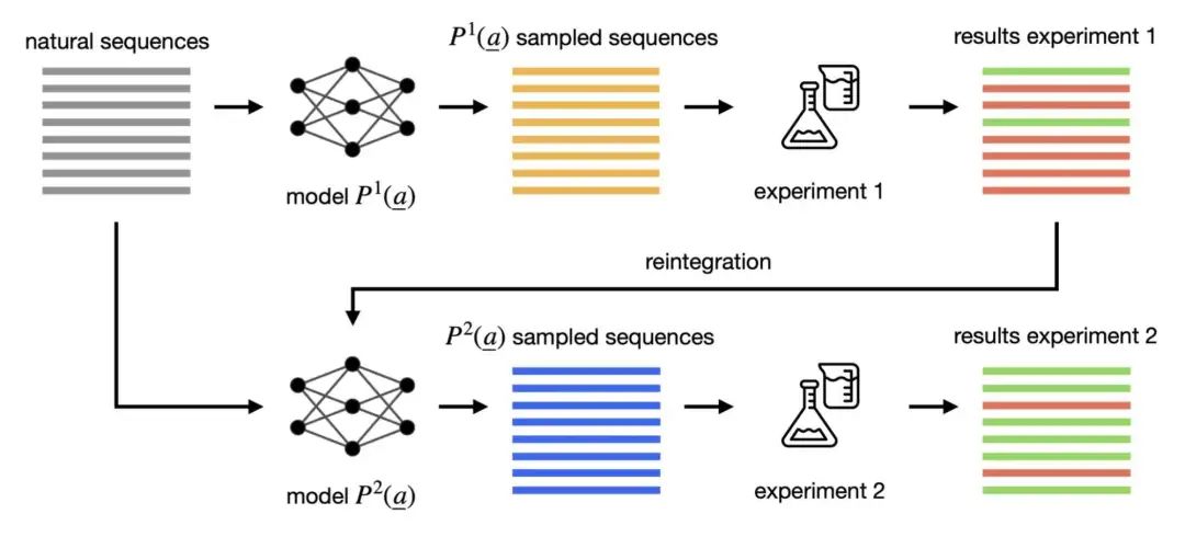AIDD-人工智能药物设计-实验反馈提升 AI 生物分子设计精度-CSDN博客