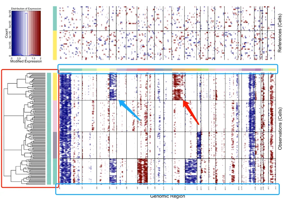 单细胞实战之inferCNV——入门到进阶(中级篇3）-CSDN博客