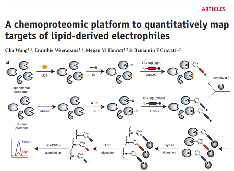 达吉特丨3篇Cell，2篇Nature，1篇Science： isoTOP-ABPP凭实力成为最易登上CNS的钓靶技术_abpp竞争质谱技术 ...