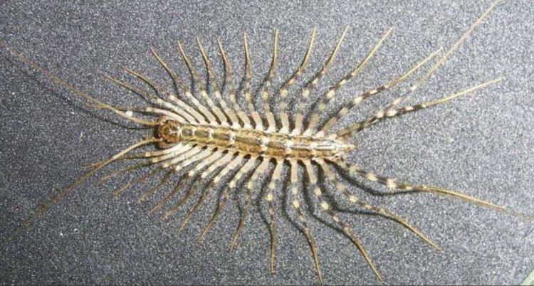 PAT乙级_1113 钱串子的加法_Python_AC解法_含疑难点_1113 钱串子的加法python-CSDN博客