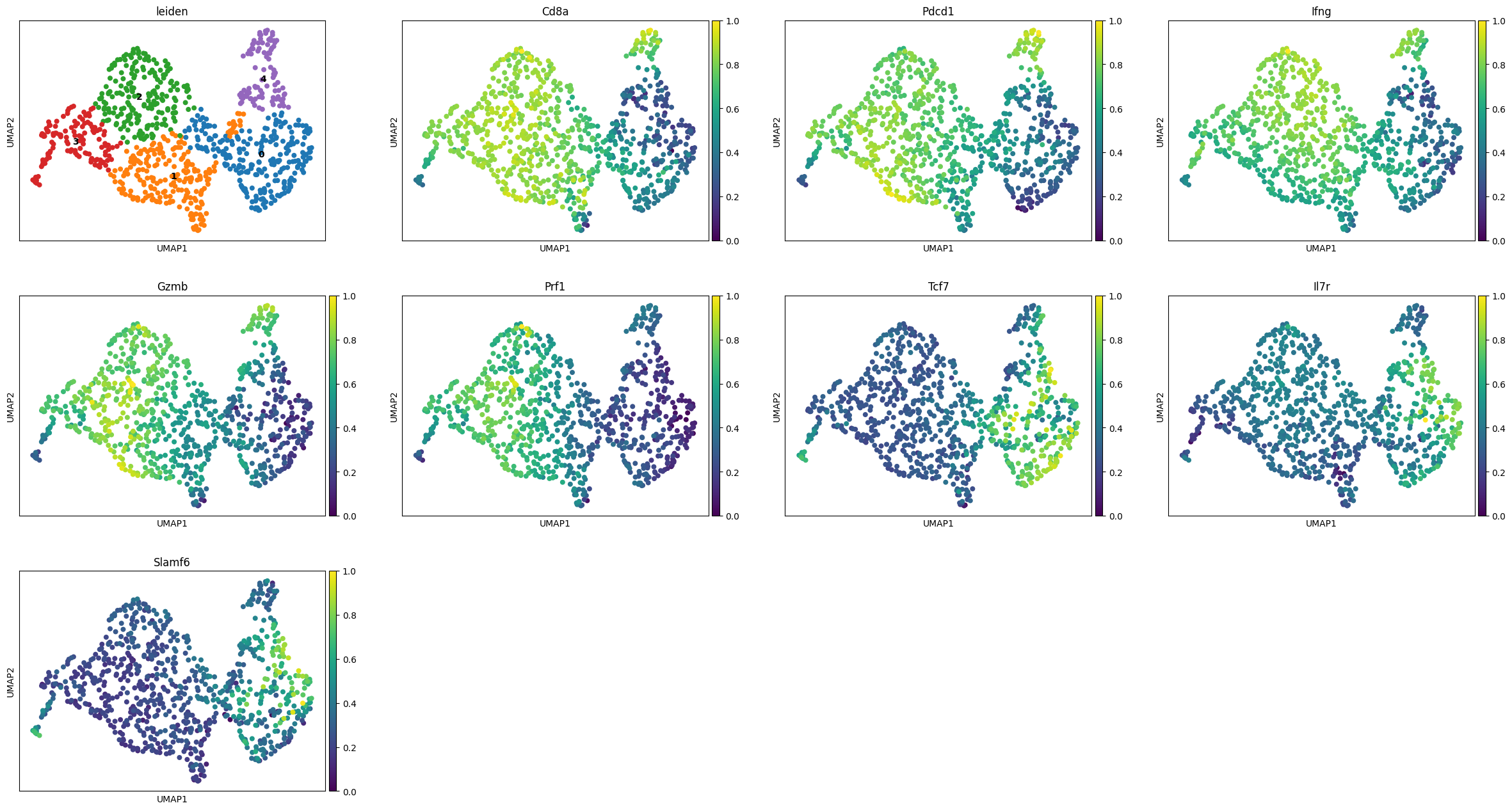 Nat Methods｜开源代码！scNET实现scRNA与PPI图神经网络模型识别通路激活、细胞状态与基因间功能关系_pip install scnet-CSDN博客
