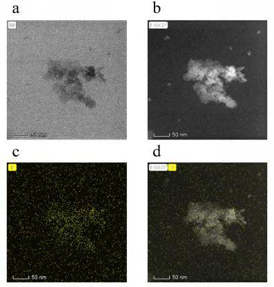水凝胶的微观形貌表征：SEM、TEM和STEM等该如何选用？_stem-eds和sem-eds的差异-CSDN博客