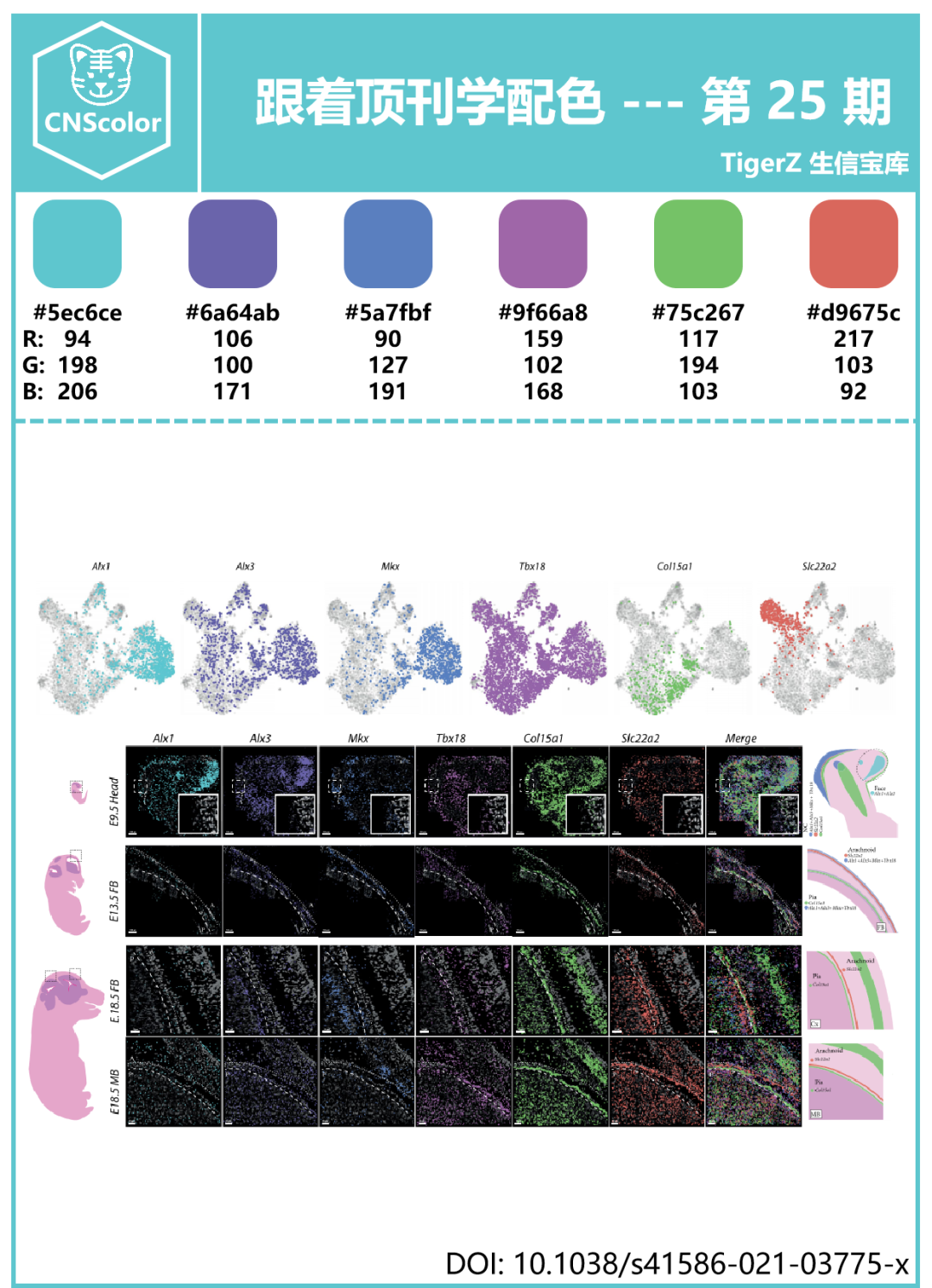 Nature同款 | 跟着顶刊学配色第 25 期-CSDN博客