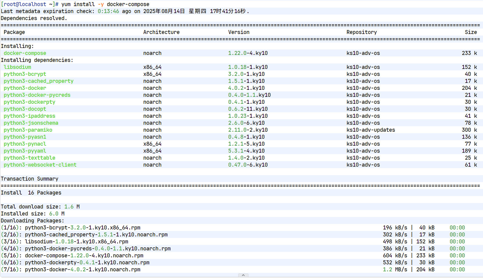 国产操作系统上构建容器生态：银河麒麟V10 Docker安装及加速配置详解_麒麟v10安装docker-CSDN博客