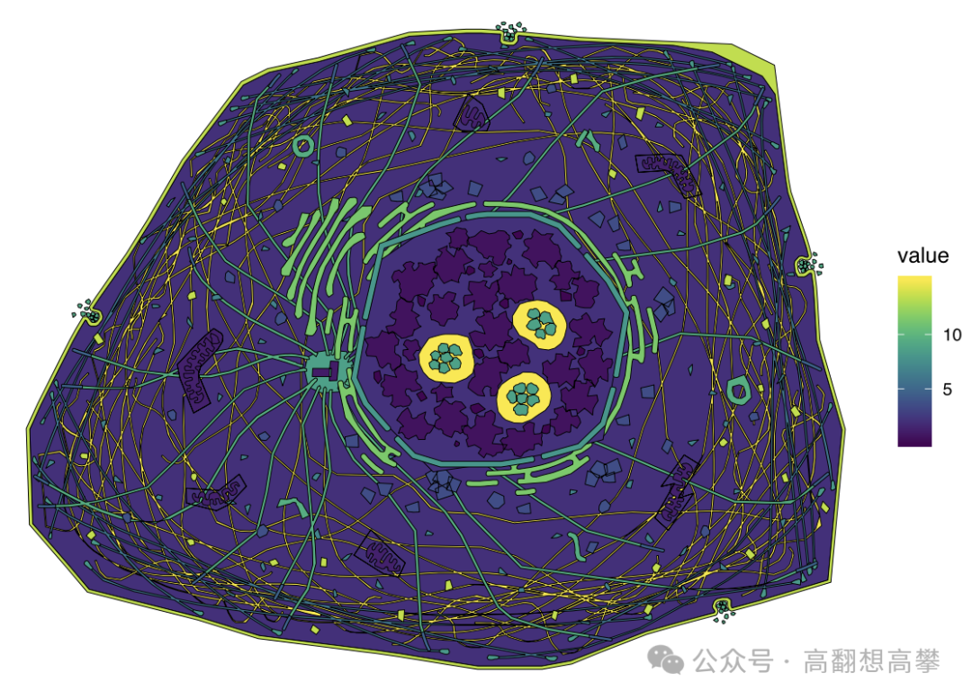 「编程虚拟细胞」R包gganatogram绘制细胞结构-CSDN博客