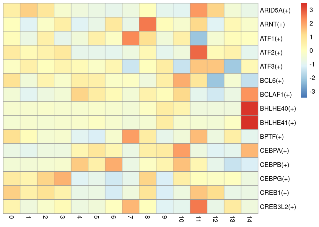非模式物种PySCENIC分析流程_pyscenic教程-CSDN博客