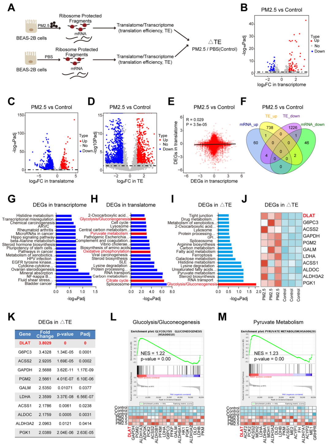 经典思路总结—Ribo-seq技术在医学中的应用_ribo seq 应用-CSDN博客