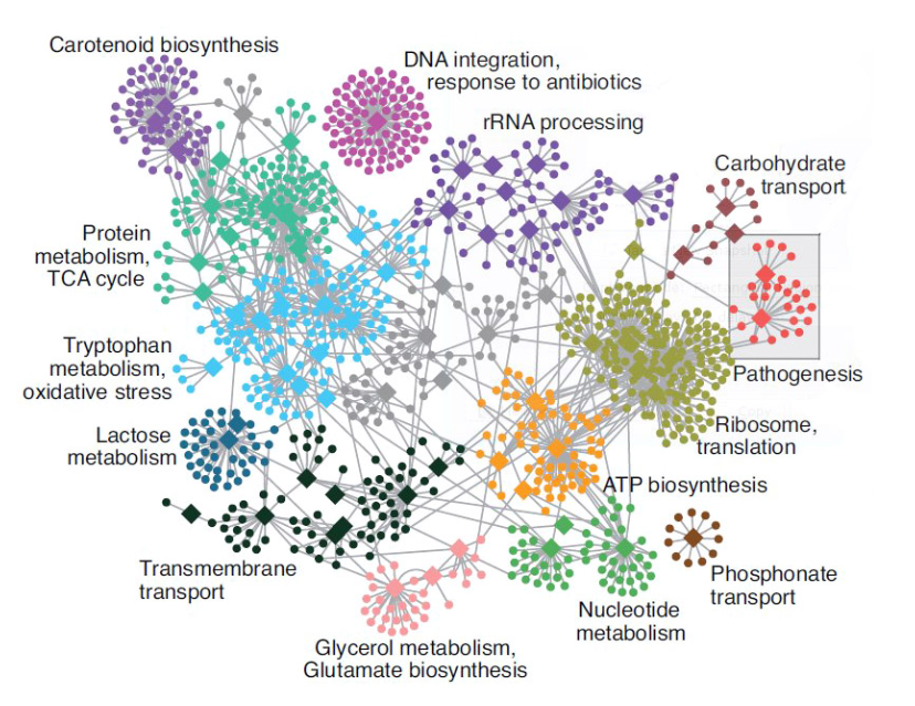 使用cytoscape绘制高级的网络图_cytoscape怎么导出图例-CSDN博客