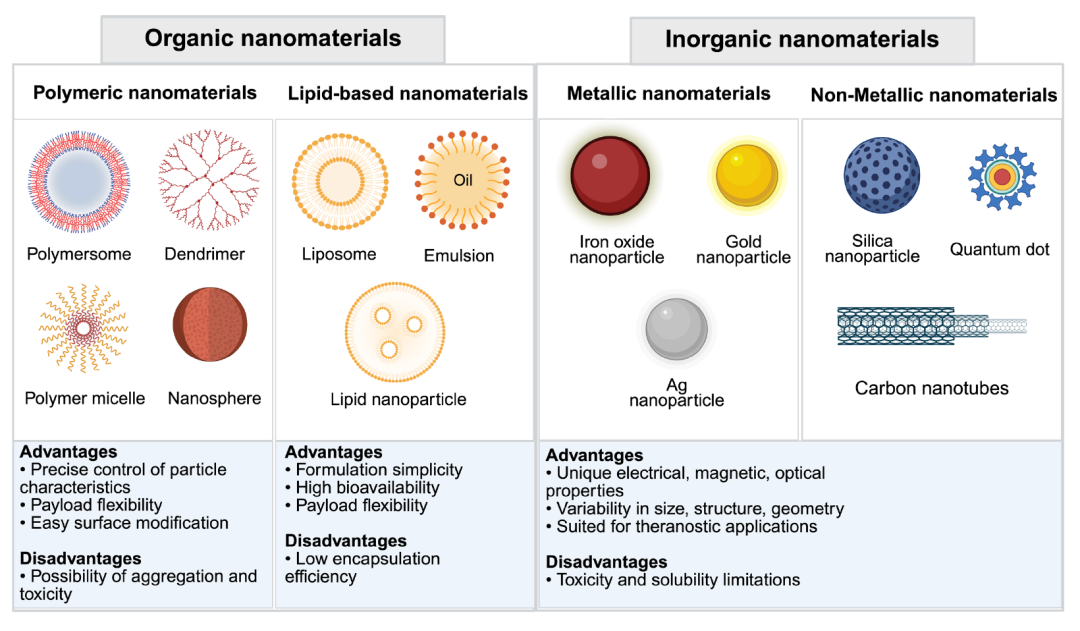 iMetaMed | 澳门大学苗凯组-深度探讨纳米材料在肿瘤微环境调控中的应用与挑战-CSDN博客