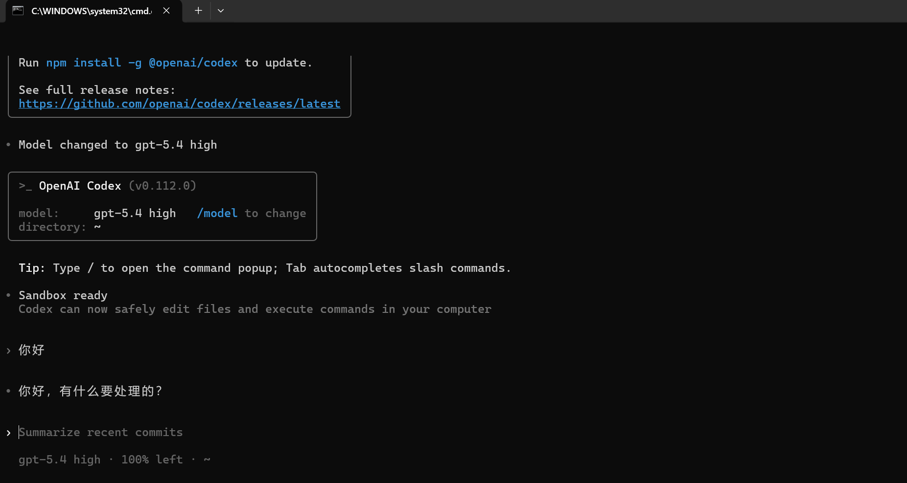 Codex 配置全详细_ccswitch安装教程-CSDN博客