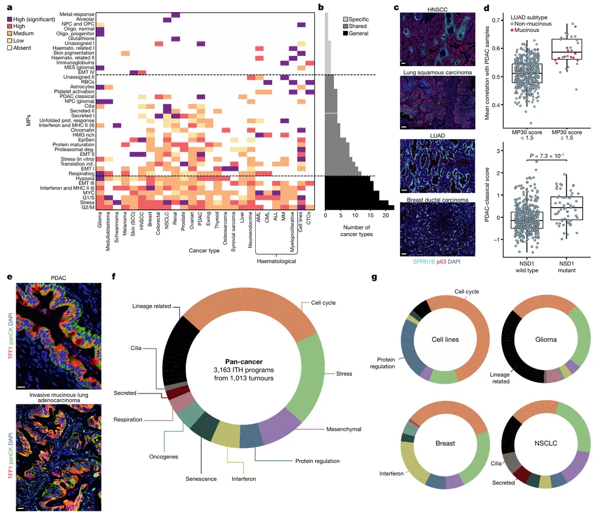 顶刊分享---超过一千份肿瘤样本的瘤间转录异质性特征_genenmf-CSDN博客