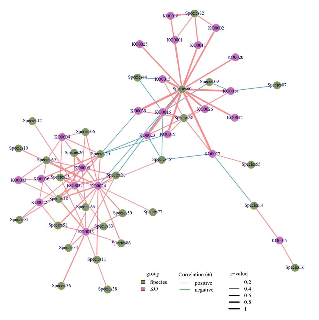 MicrobiomeStatPlot | 物种和基因Spearman相关网络分析-CSDN博客